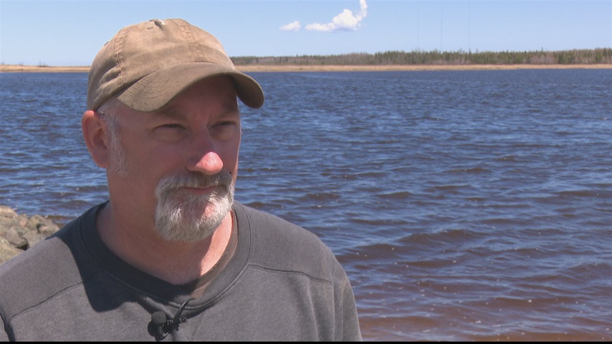 Des bélugas dans la baie de Caraquet | Radio-Canada