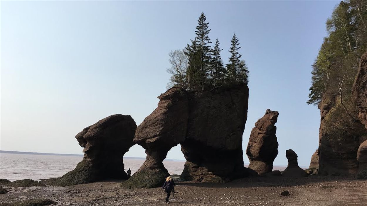 Parc de Hopewell Rocks : « l'éléphant » effondré attire l'attention ...