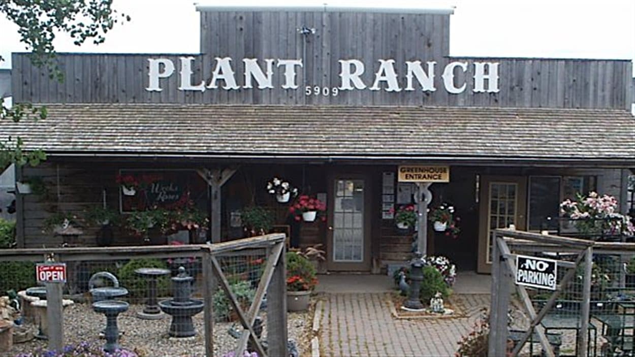 L’or vert du Plant Ranch à Regina | Radio-Canada