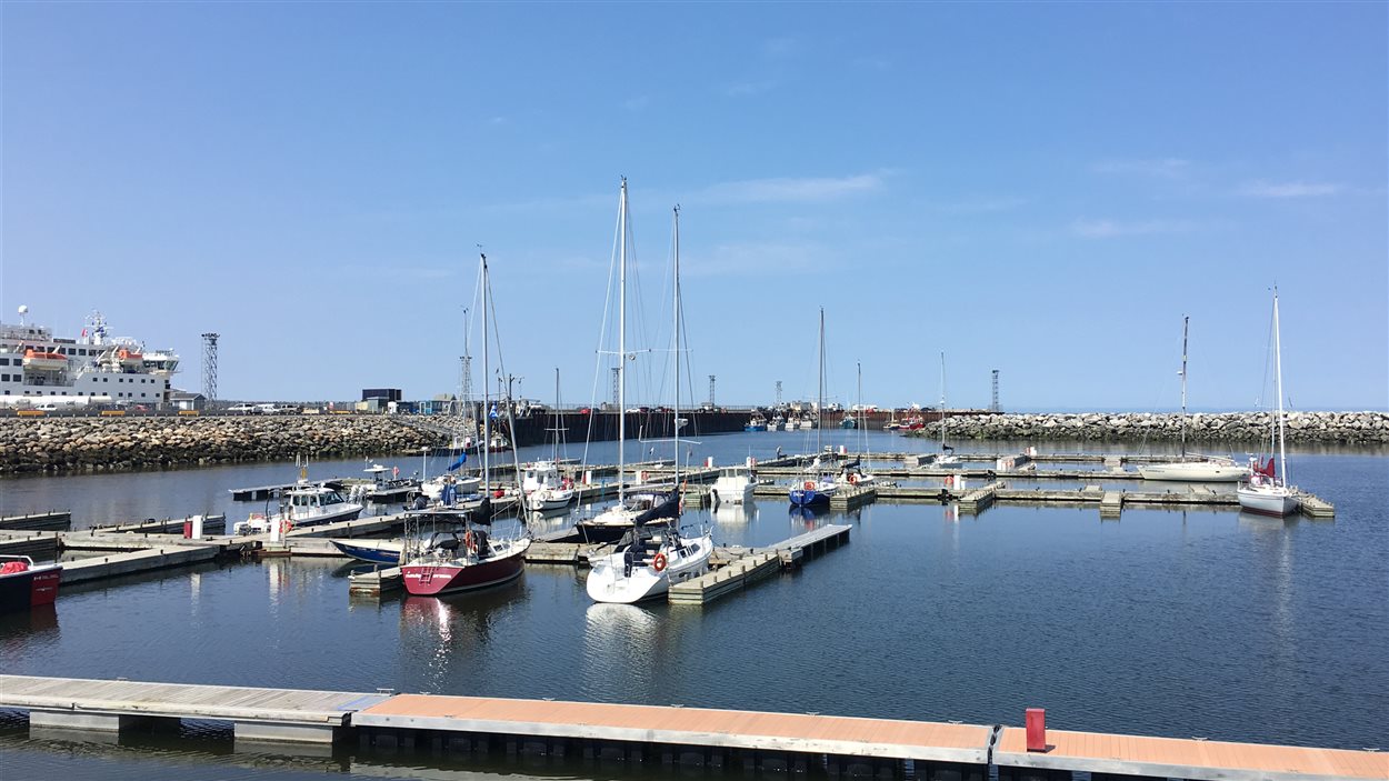 Saison sauvée juste à temps à la marina de Rimouski | Radio-Canada