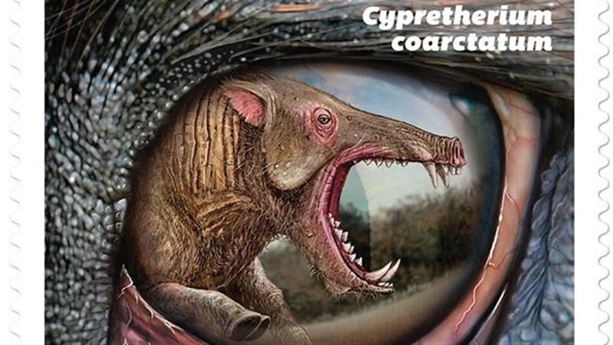 Un dinosaure de l'enfer de la Saskatchewan sur des timbres | Radio-Canada