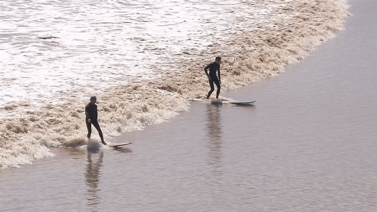 Rivière Petitcodiac : des intervenants reviennent à la charge pour un ...