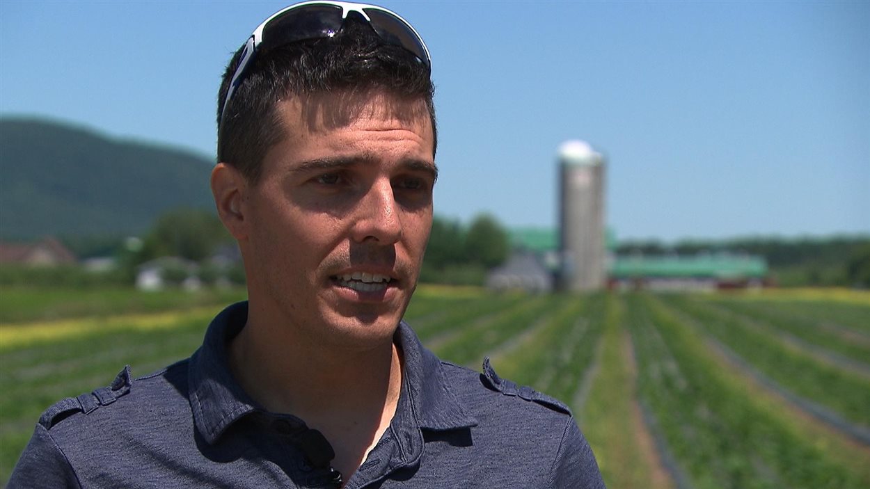 Produire des fraises grâce aux maths | Radio-Canada