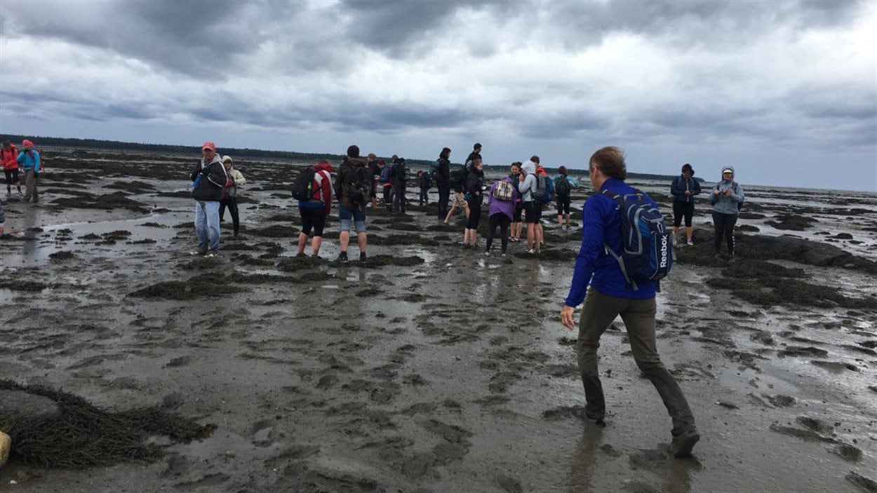 Une difficile traversée à pied vers l'île Saint-Barnabé | Radio-Canada