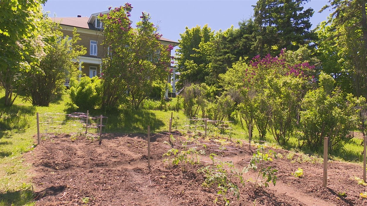 Des pousses pour faire grandir le village de Saint-Octave-de-Métis ...