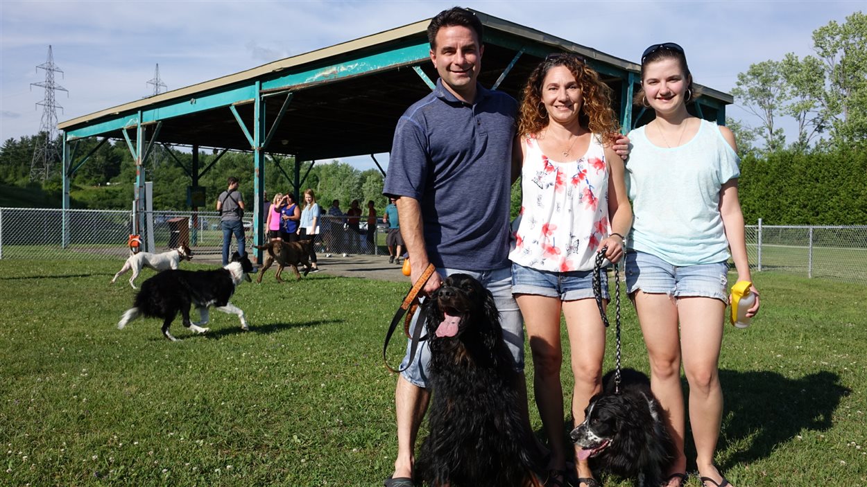 Nouveau parc canin dans l'arrondissement de Brompton, à Sherbrooke ...