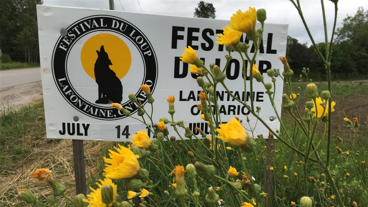 Un Festival du Loup champêtre à Lafontaine | Radio-Canada