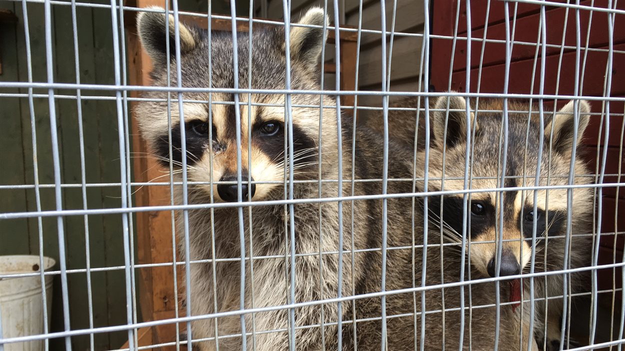 Trop de secrets bien gardés à Bécancour, selon le milieu touristique ...