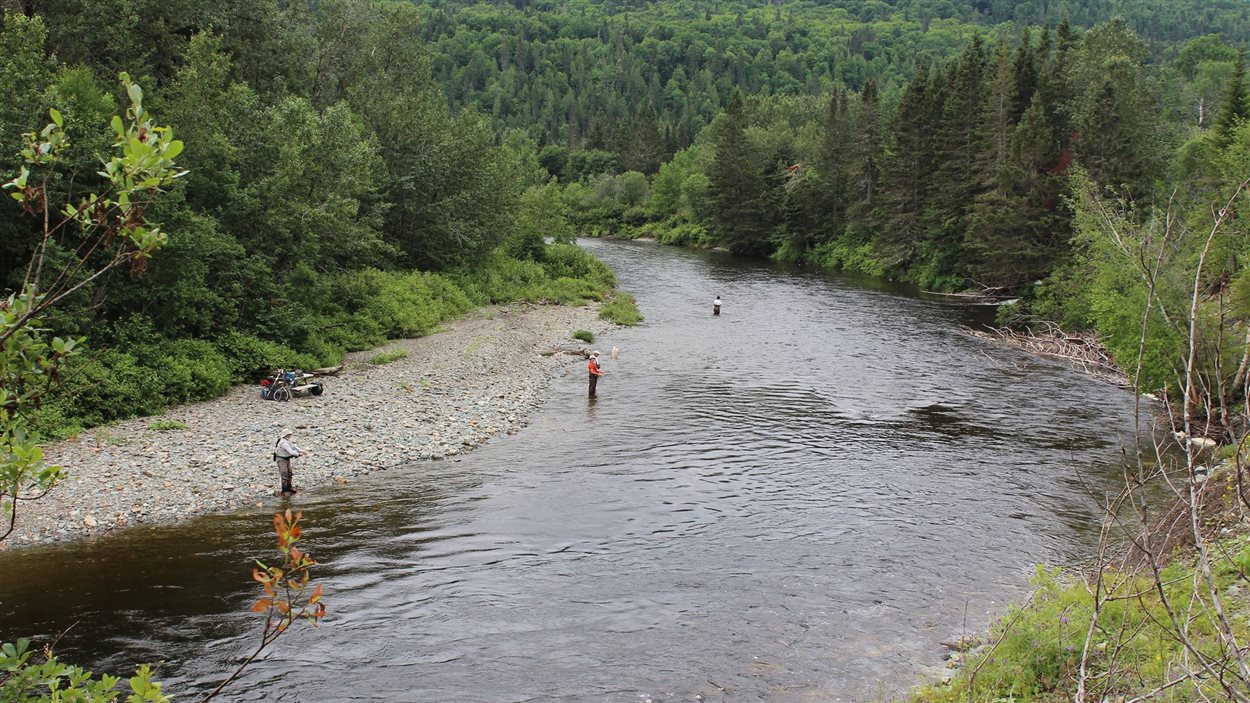 En continu | Environnement | Radio-Canada | Page 357