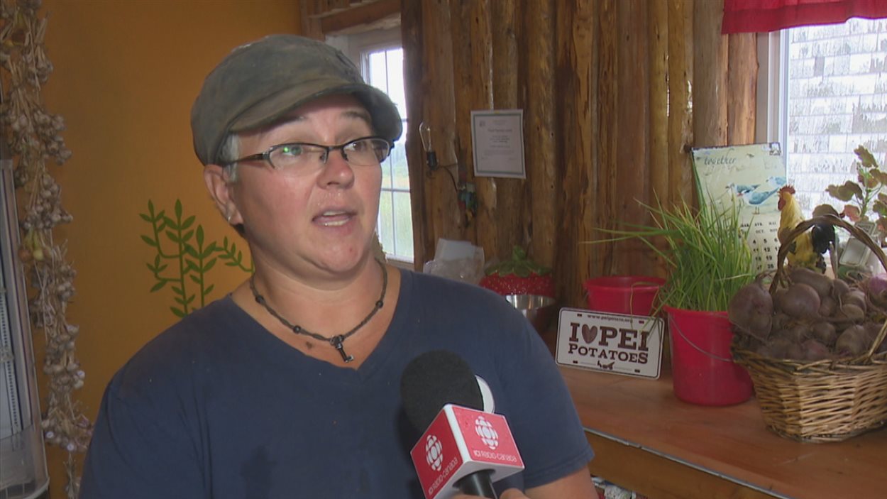 Sécheresse critique pour les agriculteurs de l'Î.-P.-É. | Radio-Canada