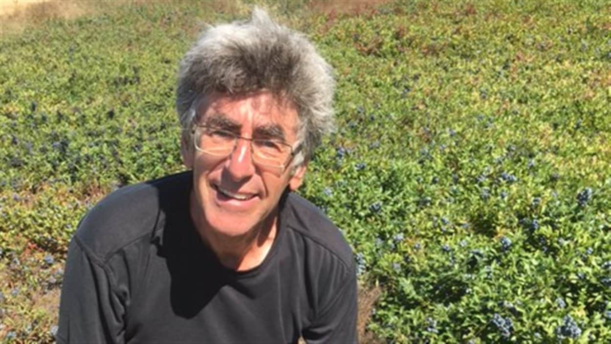 Les producteurs de bleuets du nord-est du N.-B. évoquent « une crise ...
