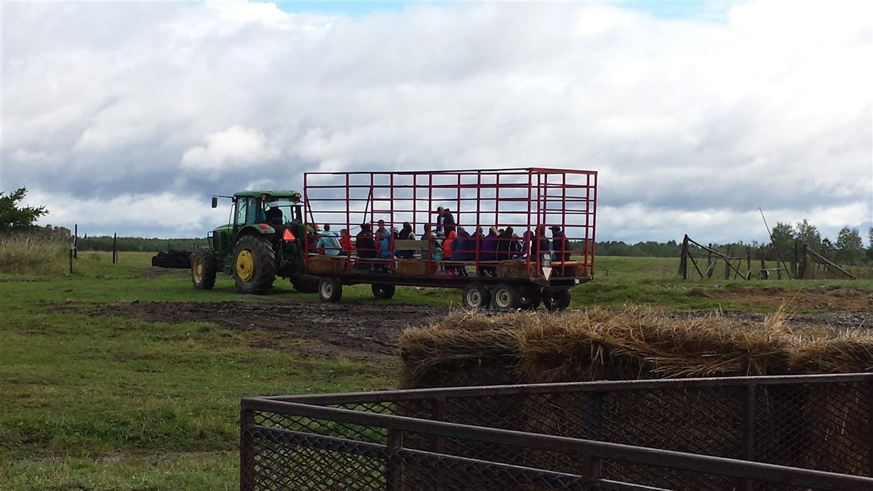 Portes ouvertes sur les fermes en Abitibi-Témiscamingue | Radio-Canada