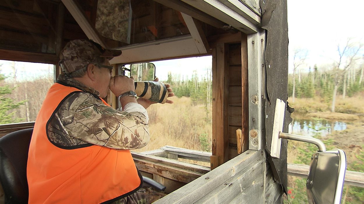 Des milliers de chasseurs dans les forêts de l'Abitibi-Témiscamingue ...