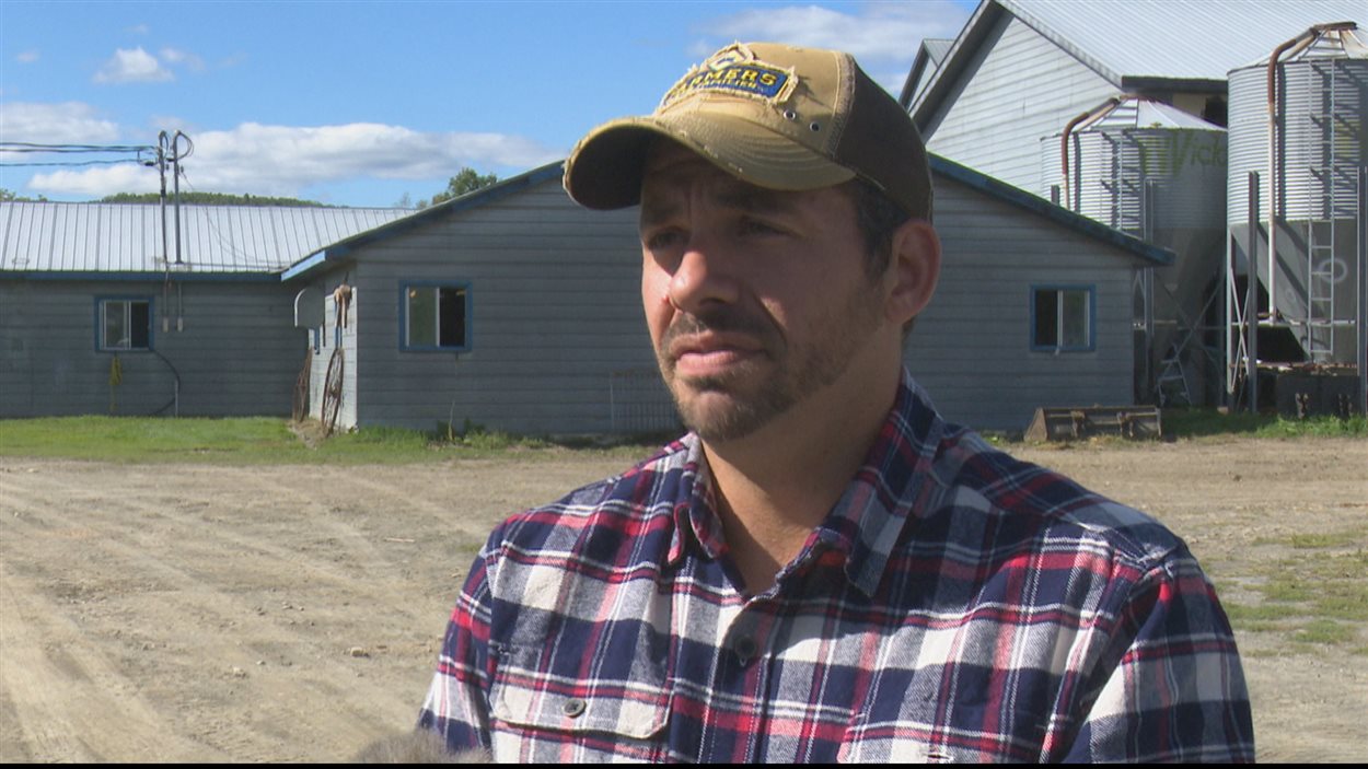 Une ferme du Nouveau-Brunswick s'adapte pour durer | Radio-Canada