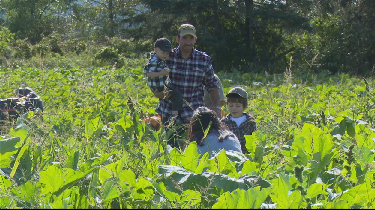 Une ferme du Nouveau-Brunswick s'adapte pour durer | Radio-Canada