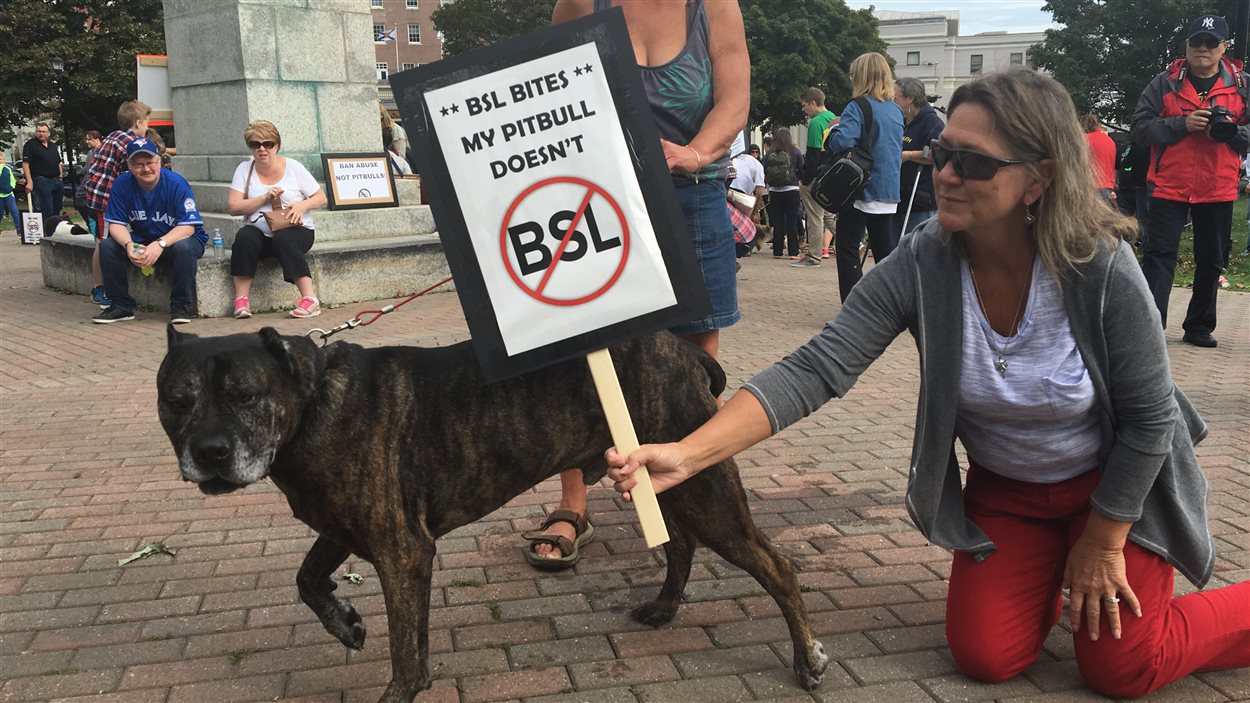 Des manifestants montrent les crocs pour protéger les pitbulls en N.-É ...