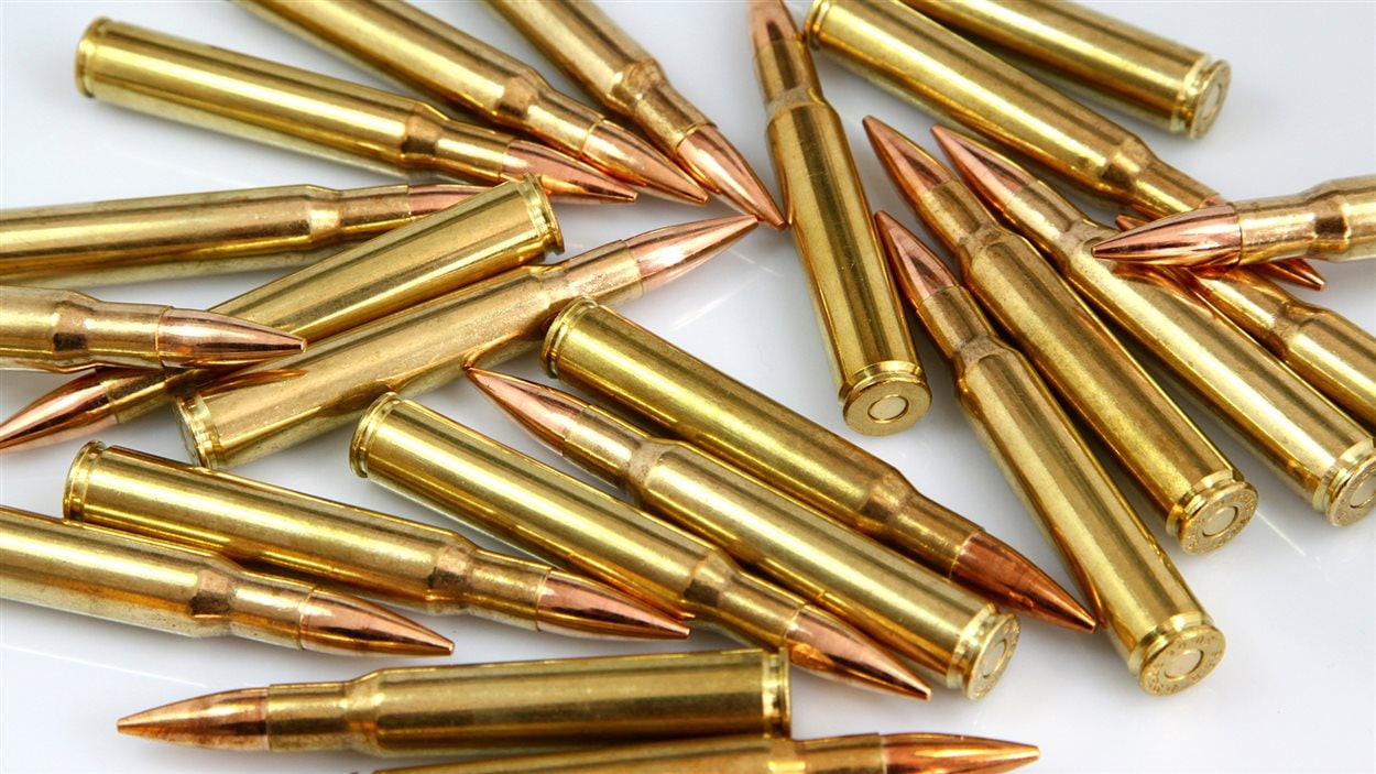 La police saisit plus de 10 tonnes de munitions et 400 plantes de ...