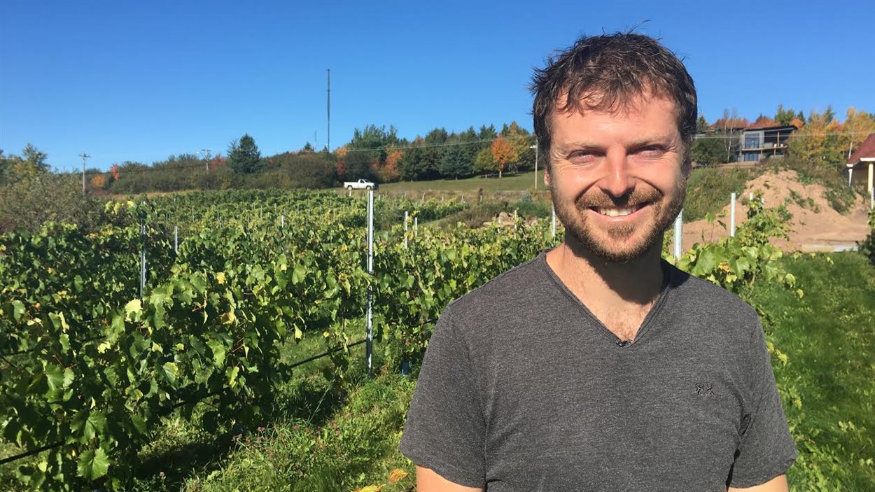 Les vignerons s'attendent à une bonne année au N.-B. | Radio-Canada
