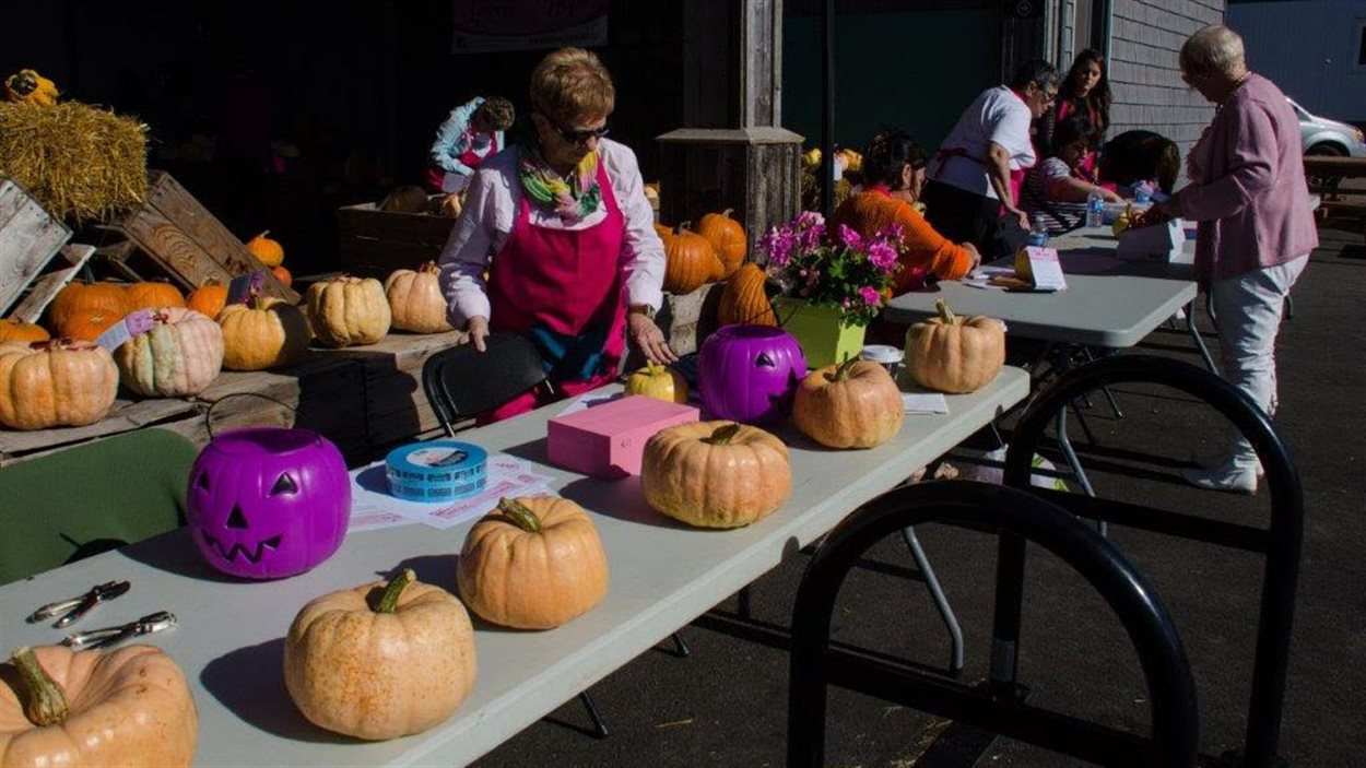 Des citrouilles roses pour la prévention du cancer du sein | Radio-Canada