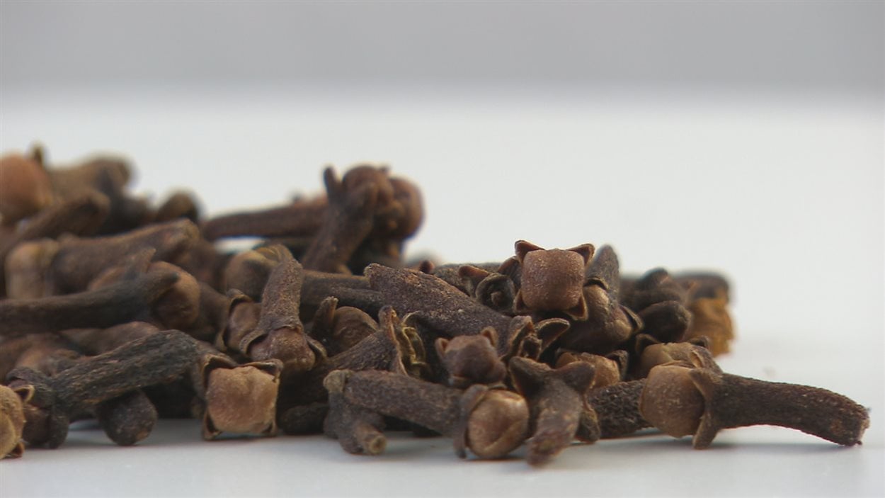 Les épices du monde : le clou de girofle | La semaine verte