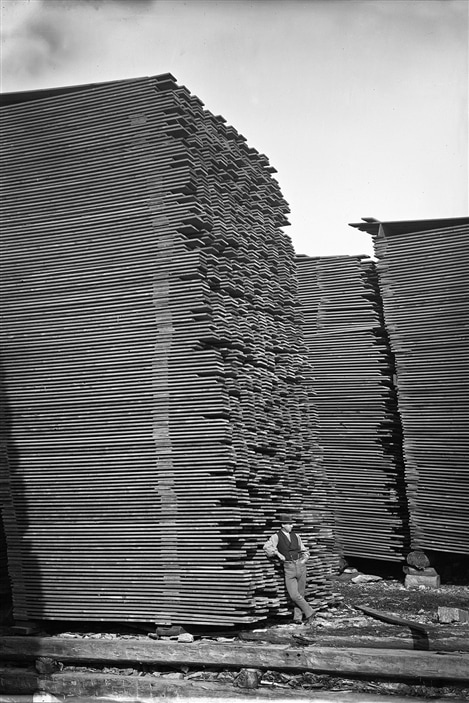 Redécouvrir William Notman, plus grand photographe canadien du 19e ...