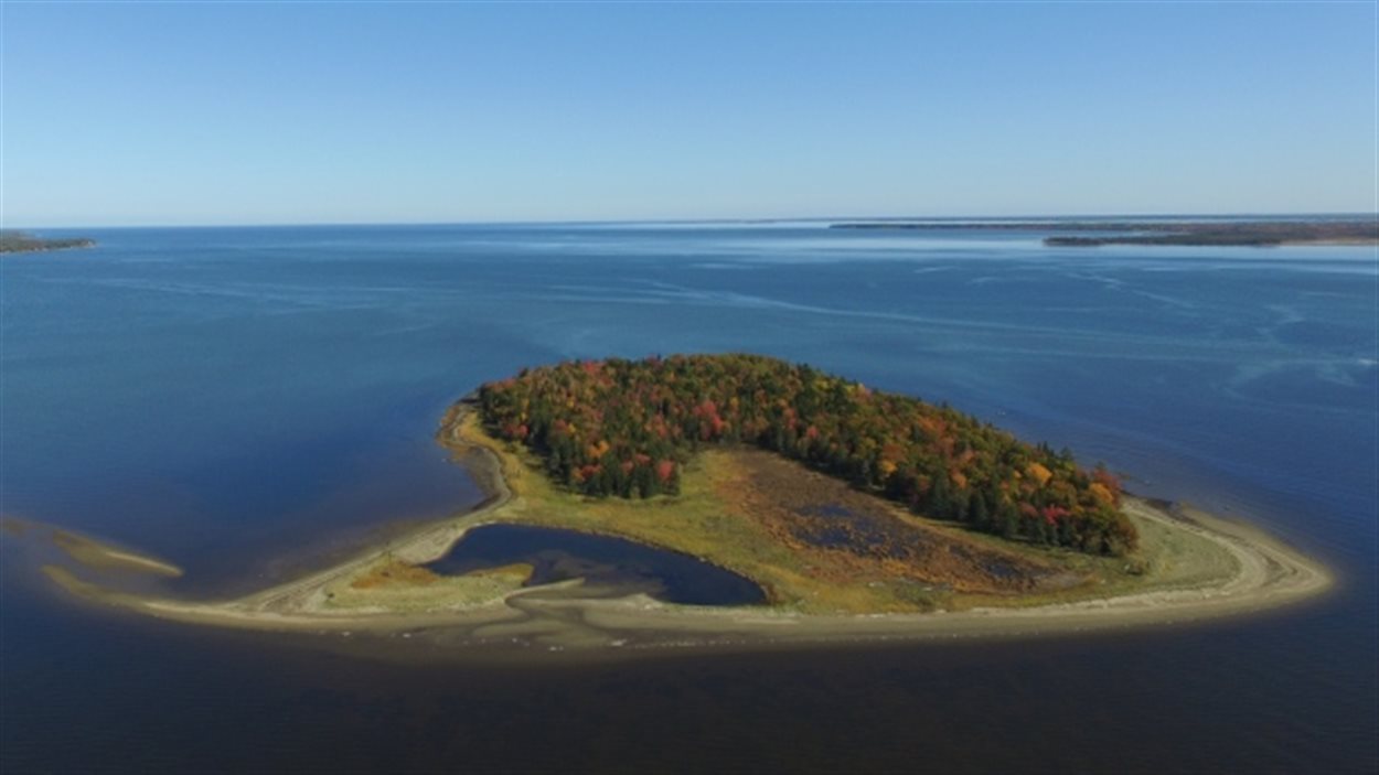 Une sculpture en hommage à l'île Sheldrake