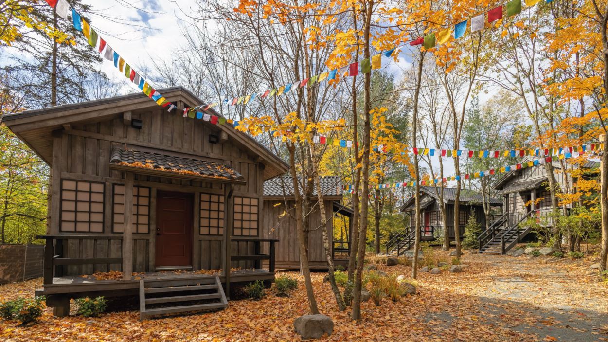 Vivez le Zoo de Granby comme jamais auparavant grâce à Radio-Canada ...