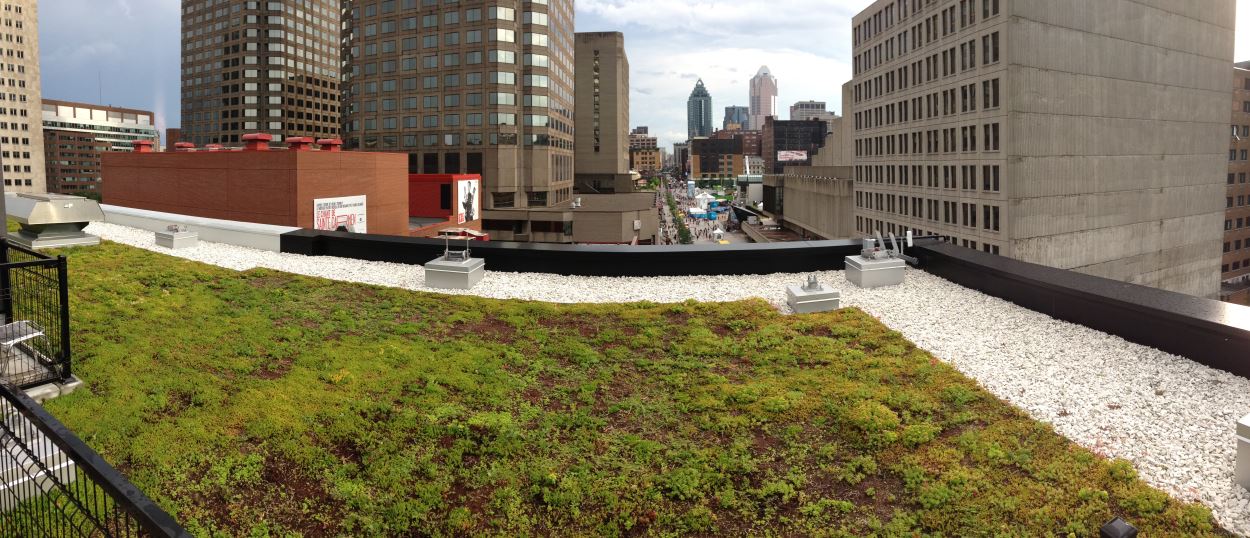 Visite guidée de toits verts | Radio-Canada