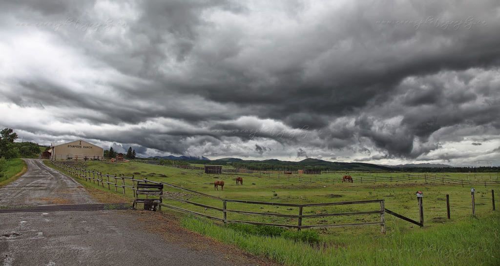 Alberta : fini la belle aventure de la maison Stampede Ranch for Kids ...