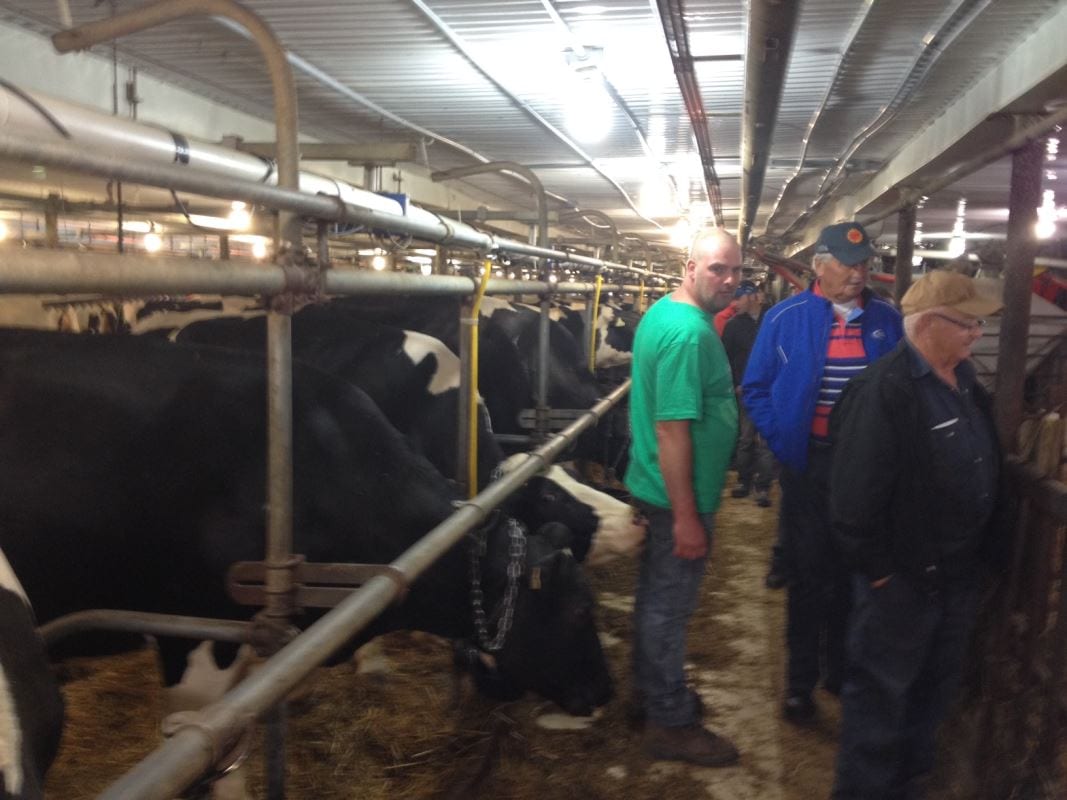 Des milliers de personnes ont visité des fermes de la région | Radio-Canada